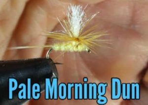 Colorado Hatch Chart (Flies that Work) - Guide Recommended