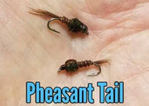 Complete Guide to Fly Fishing with the Pheasant Tail Nymph - Guide Recommended