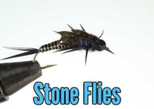 Where to Fish on the West Branch of the Delaware River, New York (Maps ...