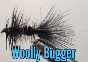 Guide to Fly Fishing on the Hiwassee River TN (Maps, Flies and ...