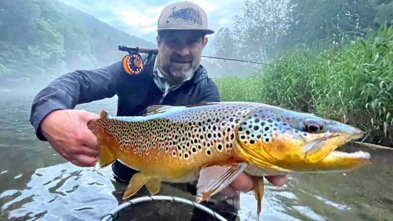 When do Brown Trout Spawn (Get the Timing Right!) - Guide Recommended