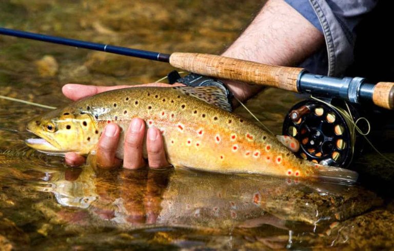 Fly Fishing Nippers Buyer’s Guide – Guide Recommended