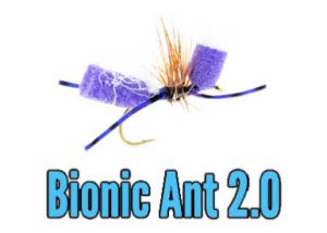 Fly Fishing with Ant Patterns (Setup, Flies and More) - Guide Recommended