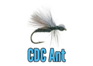 Fly Fishing with Ant Patterns (Setup, Flies and More) - Guide Recommended