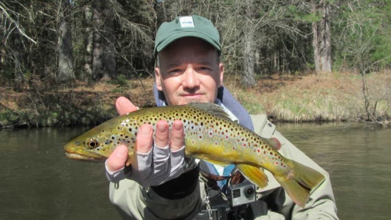 Everything You Need to Know About Kokanee Salmon Colorado - Guide ...
