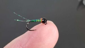13 Best Perdigon Flies (Why They Work) - Guide Recommended