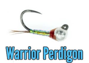 What is a Perdigon Fly? (Are You Ready to Catch Fish) - Guide Recommended