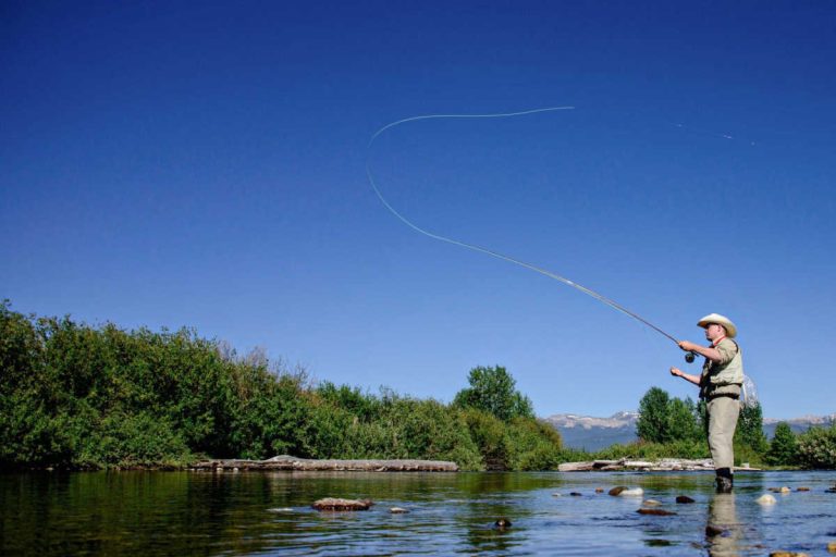 21 Best Places to Fly Fish in Montana: MAPS INCLUDED - Guide Recommended