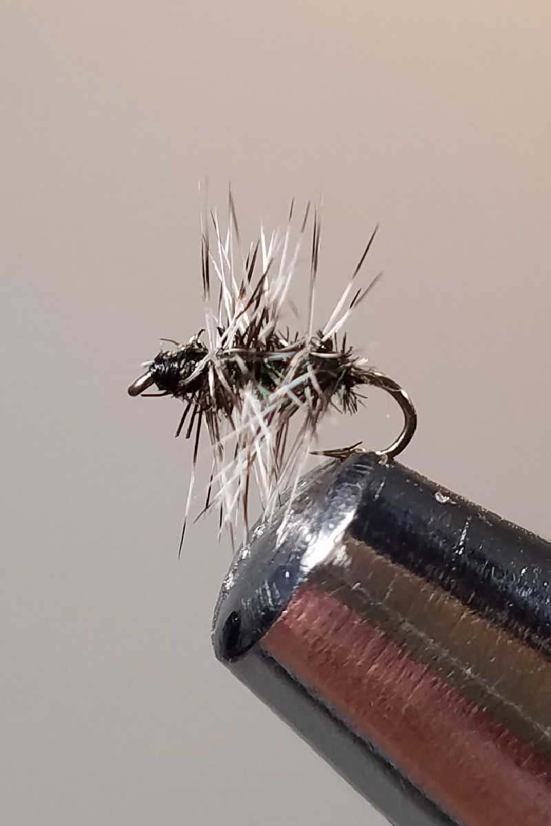 Complete Guide to Fishing and Tying the Griffith’s Gnat – Guide Recommended