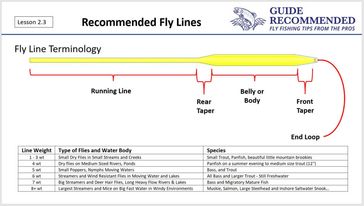 The Cortland Fly Line Review You've Been Waiting For - Guide Recommended