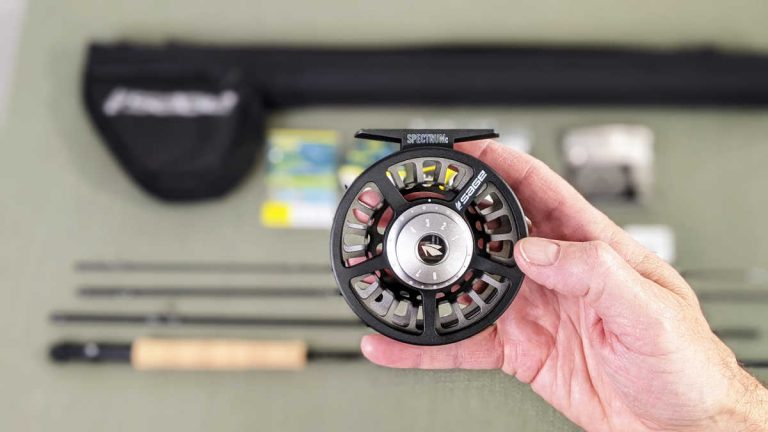 The Sage Foundation Review You Need To Read Instead - Guide Recommended