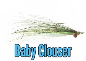 Complete Guide to Fly Fishing with the Clouser Minnow (Setup, Fish, and Tie) - Guide Recommended