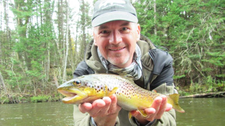 18 Favorite Flies For Catching Brown Trout - Guide Recommended