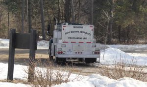 Wild Trout vs Stocked (How to Tell the Difference) - Guide Recommended