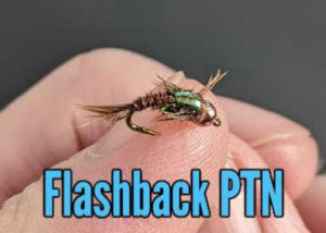 Complete Guide to Fly Fishing with the Pheasant Tail Nymph - Guide Recommended