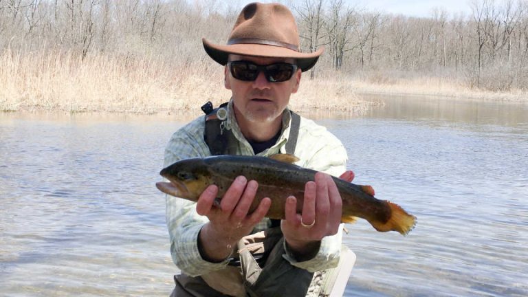 Unlocking the Secrets of Fly Fishing for Stocked Trout - Guide Recommended