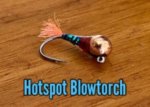 13 Best Perdigon Flies (Why They Work) - Guide Recommended