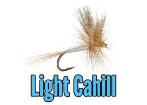 Expert Fisherman Reveals the Secret to Fishing and Tying the Perfect ...