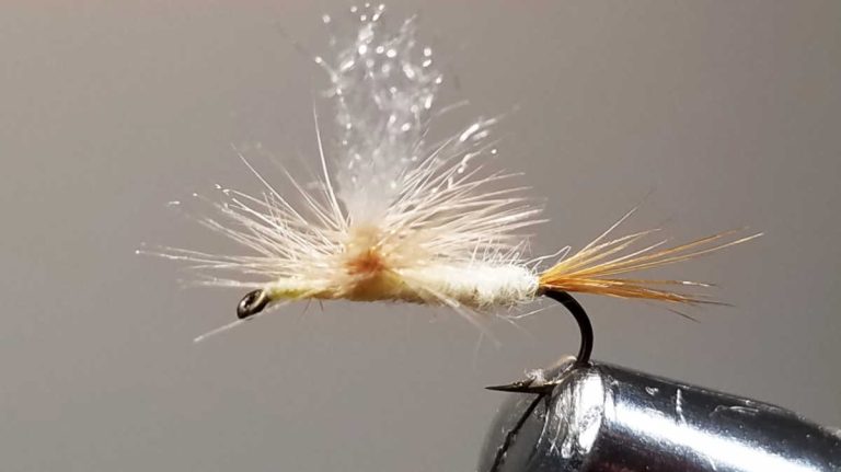 12 Easy Flies to Tie (Video, Materials, and More) - Guide Recommended