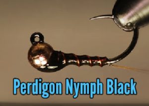 13 Best Perdigon Flies (Why They Work) - Guide Recommended