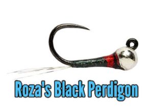 13 Best Perdigon Flies (Why They Work) - Guide Recommended