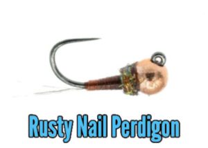 13 Best Perdigon Flies (Why They Work) - Guide Recommended