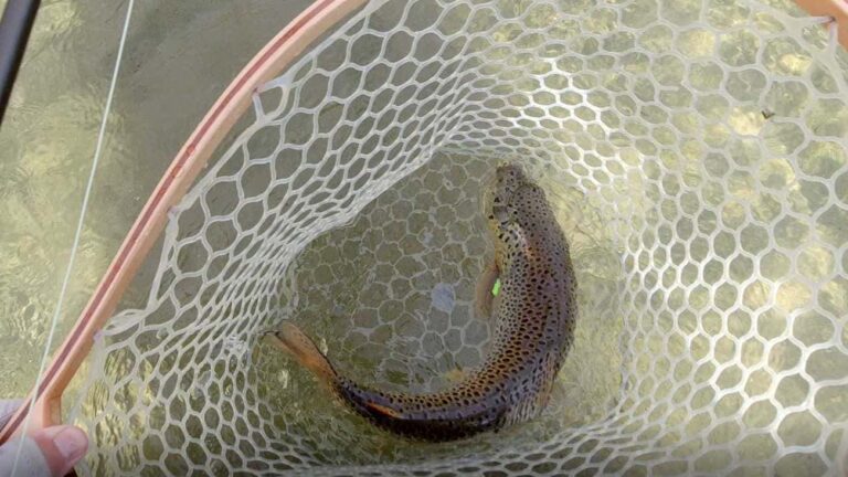 Where to Fly Fish on the San Juan River, New Mexico (Maps, Flies and ...