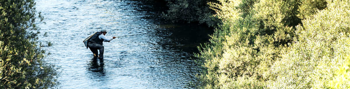 How to Fly Fish for Cutthroat Trout - Guide Recommended