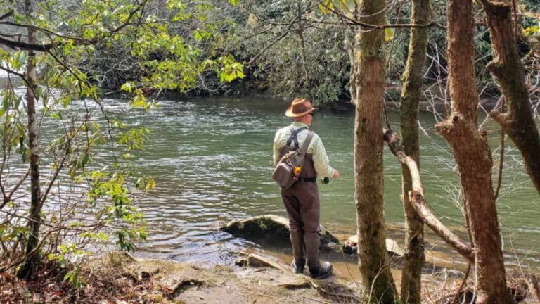 How Much Is a Fishing License in Washington? (Regulations and More ...