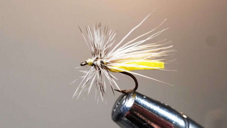 10 Best Stonefly Patterns (Nymphs, Dries with an Easy Fly to Tie ...