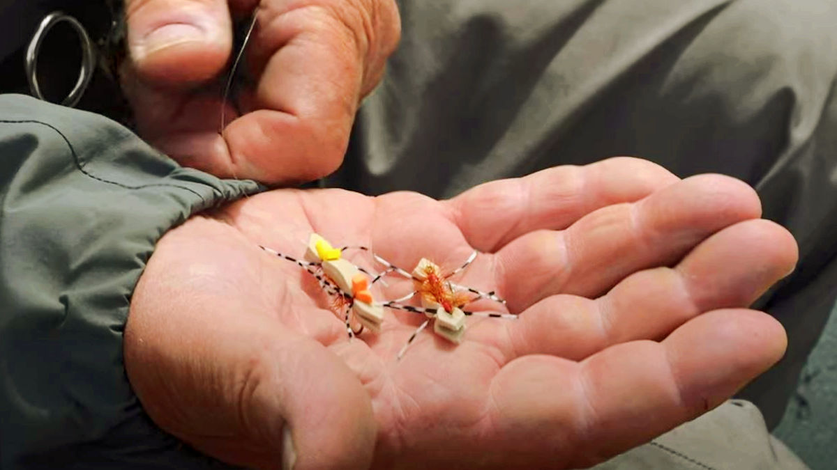 10 Best Stonefly Patterns (Nymphs, Dries with an Easy Fly to Tie ...