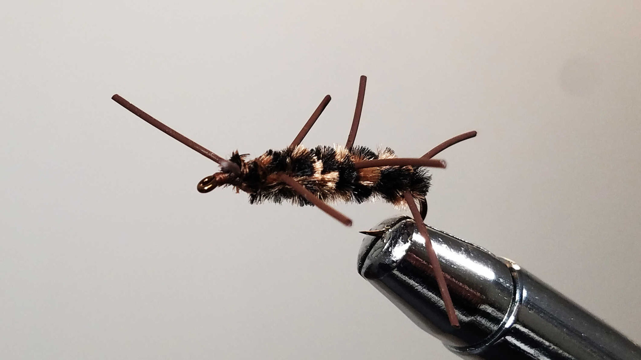 10 Best Stonefly Patterns (Nymphs, Dries with an Easy Fly to Tie ...