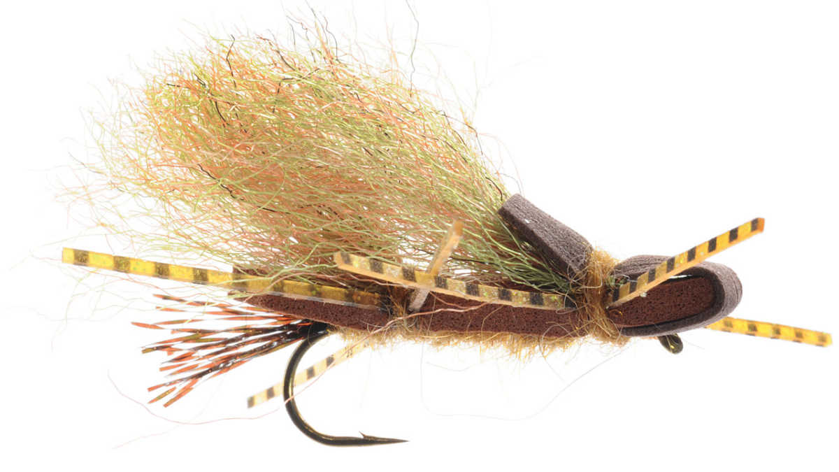 10 Best Stonefly Patterns (Nymphs, Dries with an Easy Fly to Tie ...