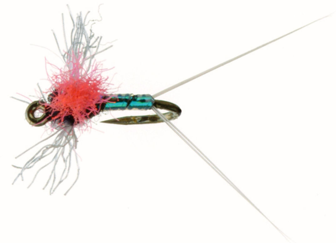 Catching Big Trout with Trico Mayflies: Tips and Techniques - Guide ...