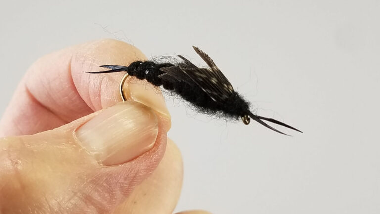 10 Best Stonefly Patterns (Nymphs, Dries with an Easy Fly to Tie ...