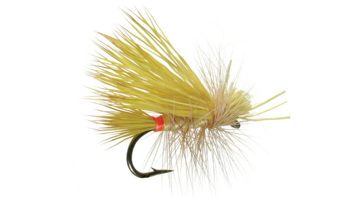 10 Best Stonefly Patterns (Nymphs, Dries with an Easy Fly to Tie ...
