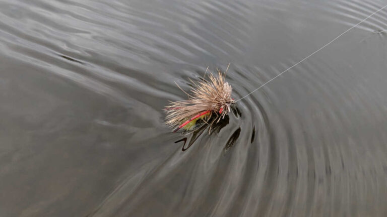11 Best Caddisfly Patterns for the Fly Fisher (Nymphs, Dries with an ...