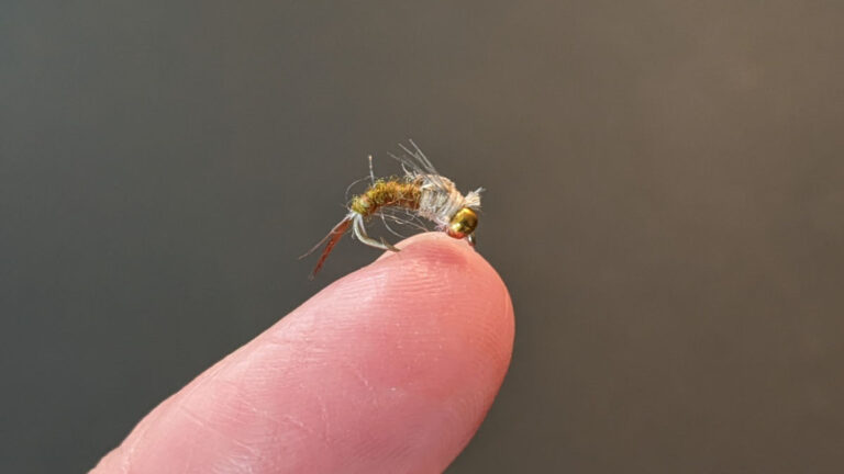 11 Best Blue Wing Olive Fly Patterns for Successful Trout Fishing ...