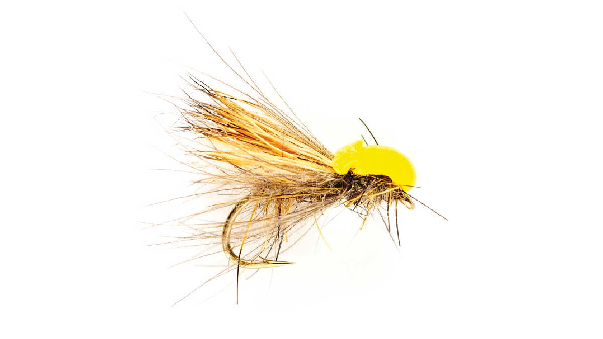11 Best Caddisfly Patterns for the Fly Fisher (Nymphs, Dries with an ...