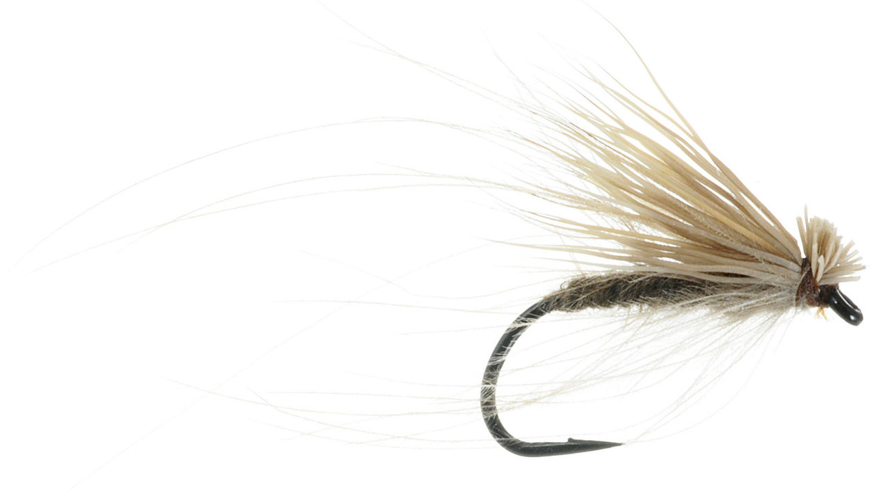 11 Best Caddisfly Patterns for the Fly Fisher (Nymphs, Dries with an ...