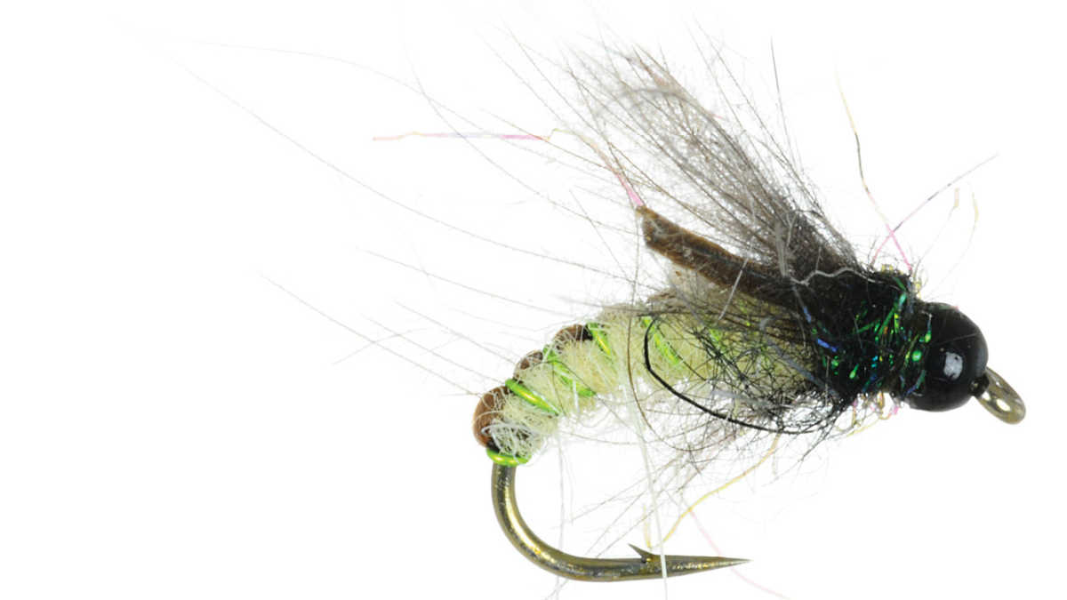 11 Best Caddisfly Patterns for the Fly Fisher (Nymphs, Dries with an ...