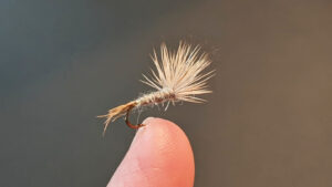 11 Best Blue Wing Olive Fly Patterns for Successful Trout Fishing ...