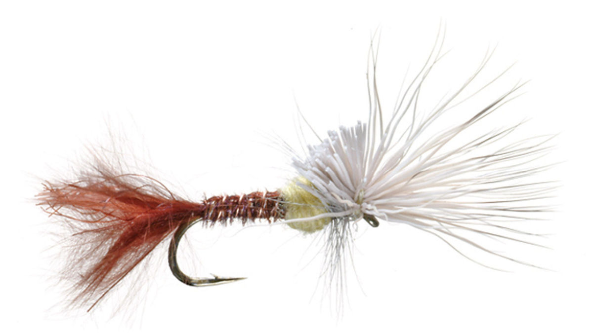 11 Best Blue Wing Olive Fly Patterns for Successful Trout Fishing ...