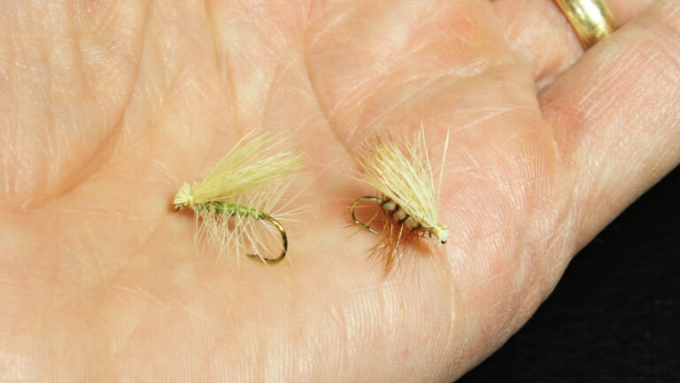 11 Best Caddisfly Patterns for the Fly Fisher (Nymphs, Dries with an ...