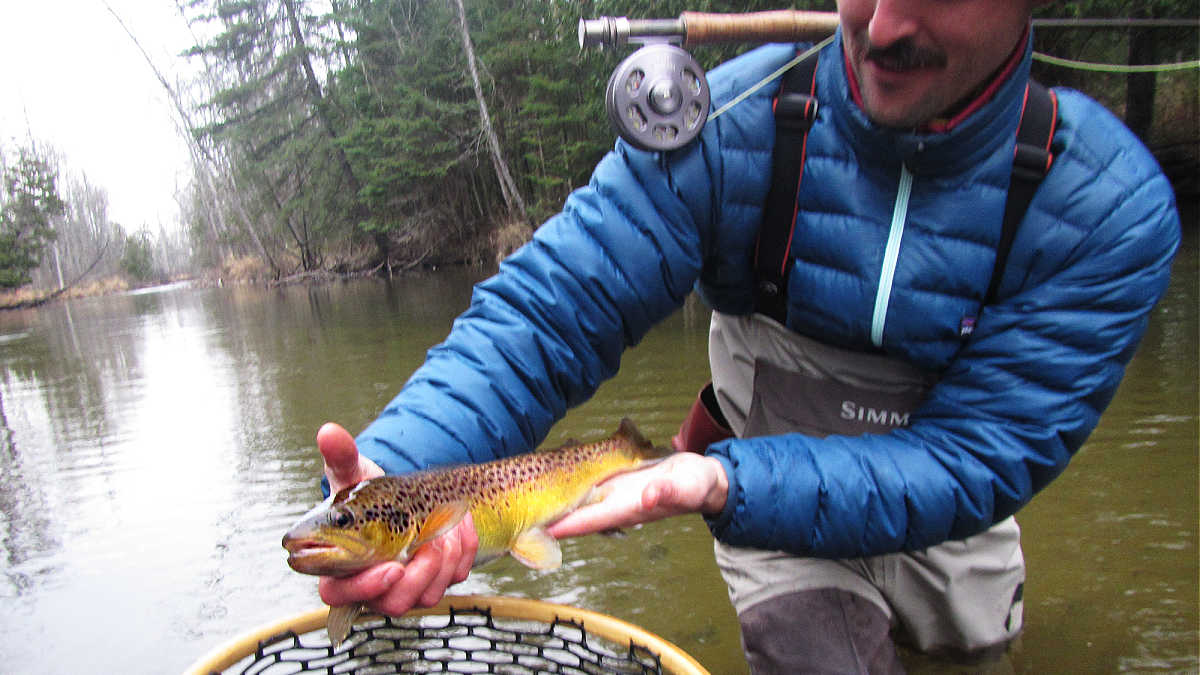 How Much Is a Fishing License in New Hampshire? (Regulations and More ...