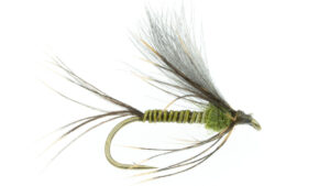 11 Best Blue Wing Olive Fly Patterns for Successful Trout Fishing ...