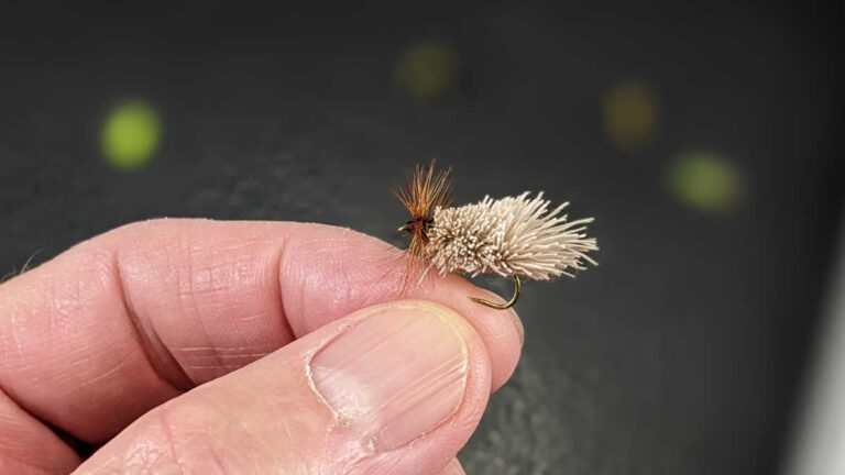 11 Best Caddisfly Patterns for the Fly Fisher (Nymphs, Dries with an ...