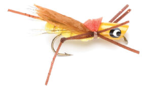 8 Best Grasshopper Patterns for Fly Fishing (Plus an Easy Tie) – Guide ...