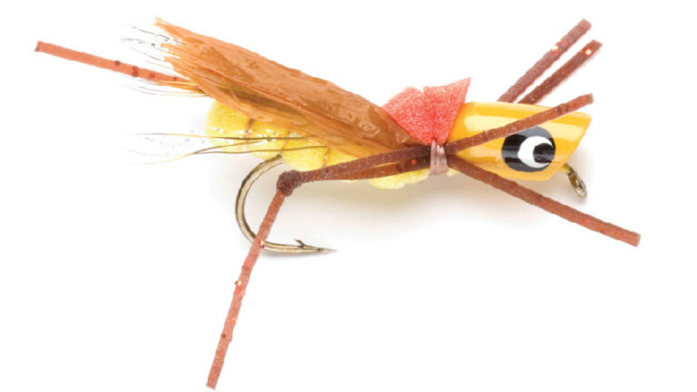 8 Best Grasshopper Patterns for Fly Fishing (Plus an Easy Tie) - Guide ...