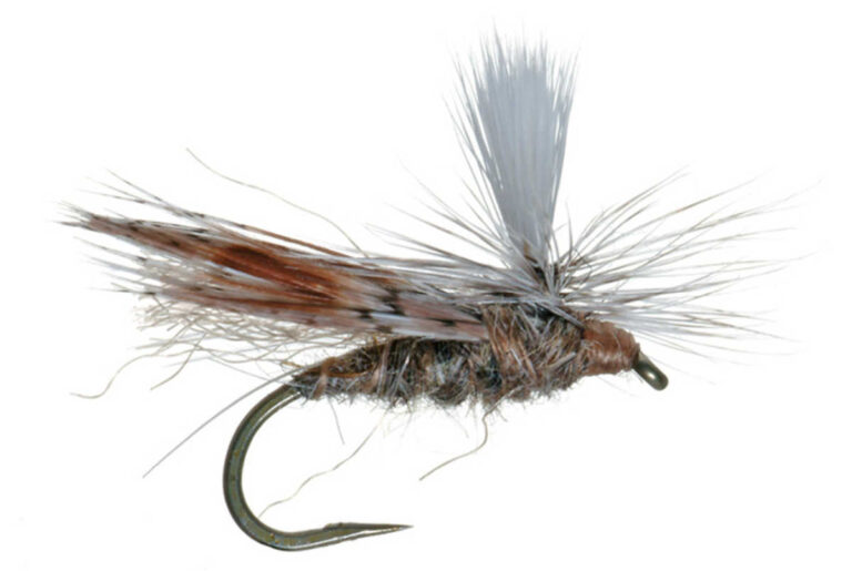 11 Best Caddisfly Patterns for the Fly Fisher (Nymphs, Dries with an ...